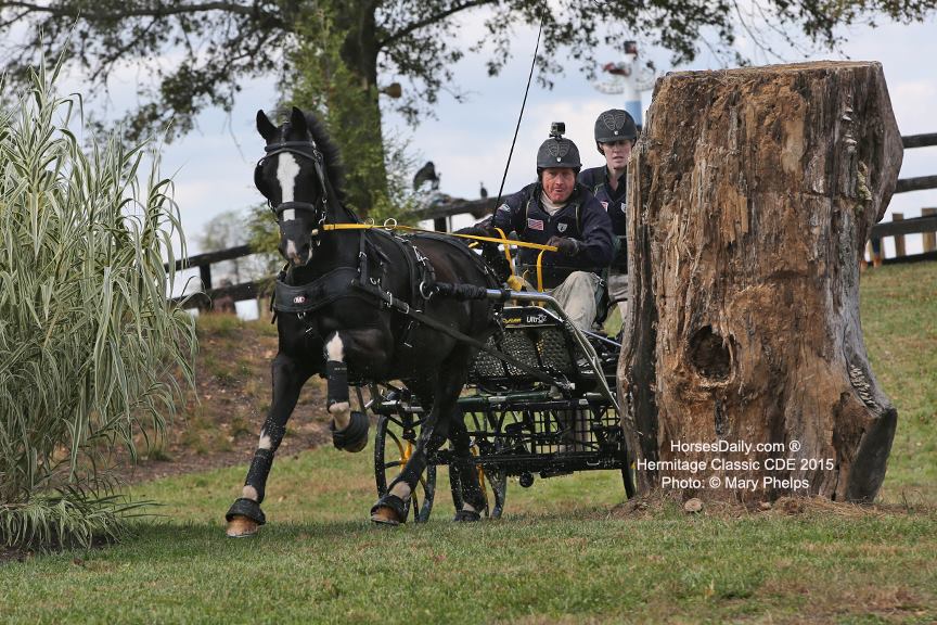 Team Sterling LLC – Competitive Carriage Driving, Sport Horse Training ...