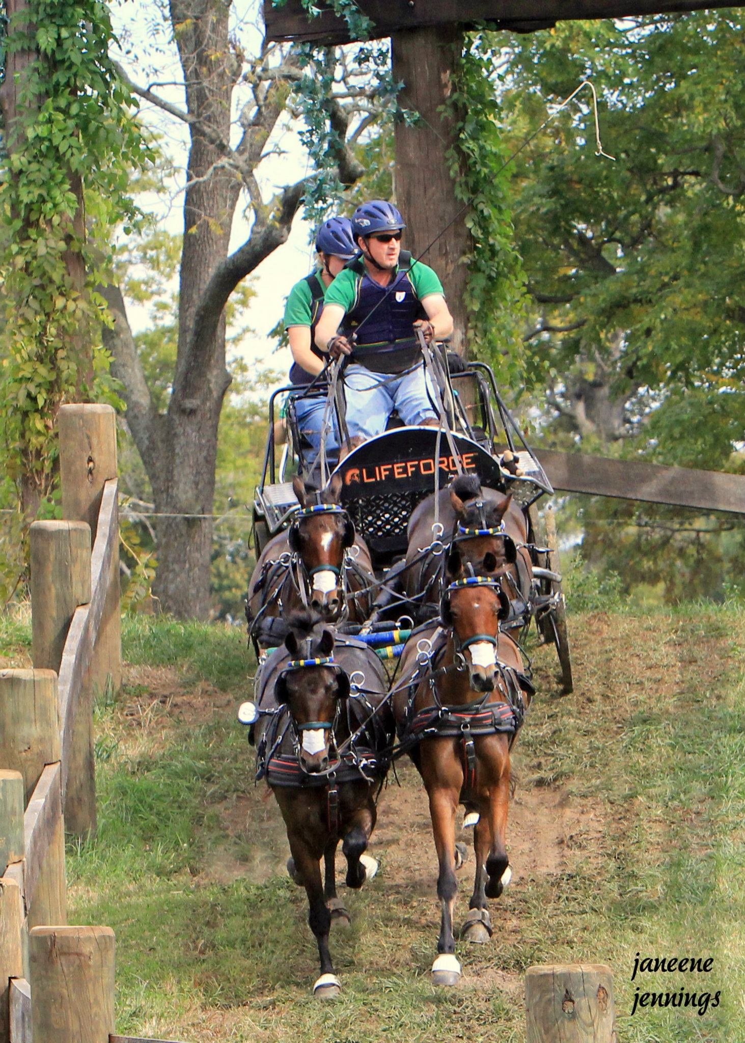 Team Sterling LLC – Competitive Carriage Driving, Sport Horse Training ...