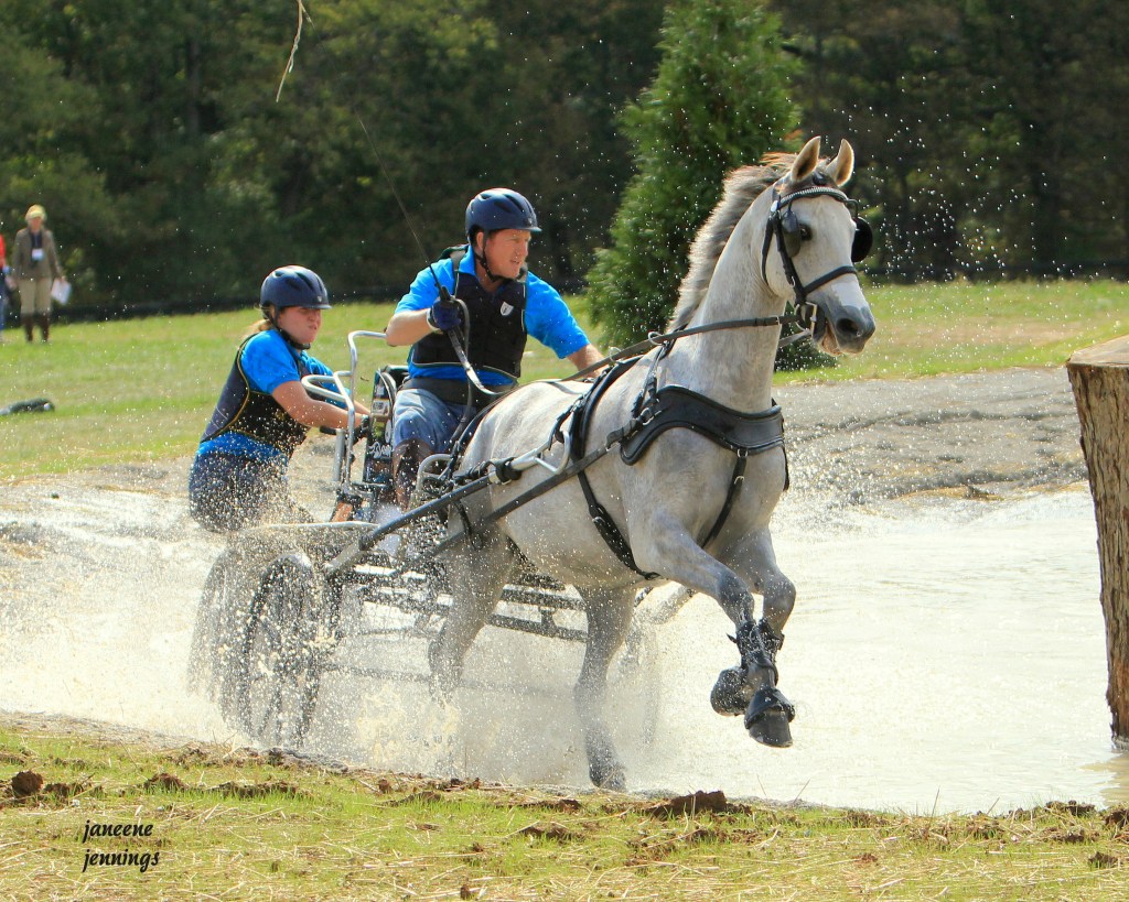 Team Sterling LLC – Competitive Carriage Driving, Sport Horse Training ...